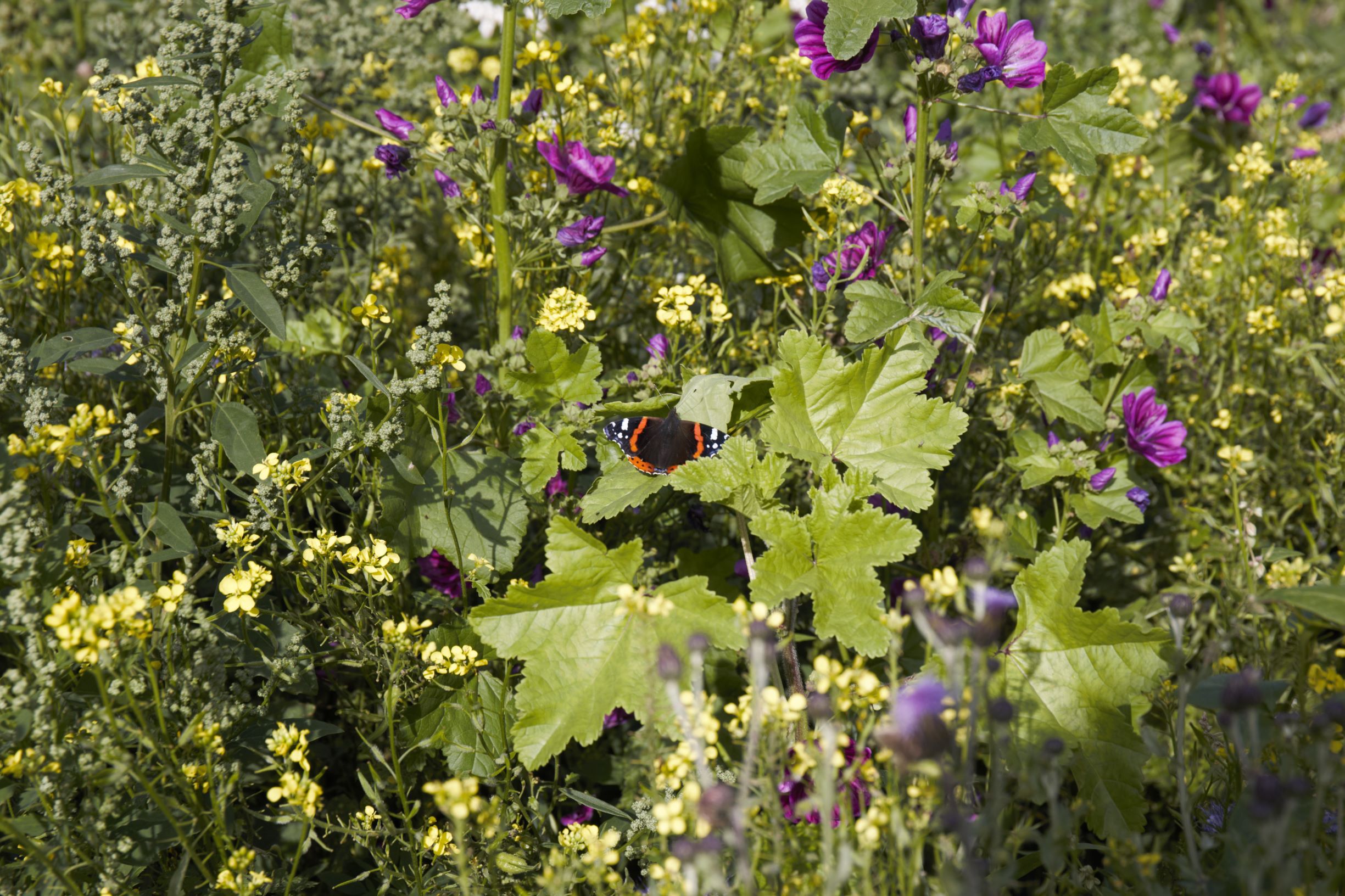 Kontakt administration og institution - FGU Østjylland